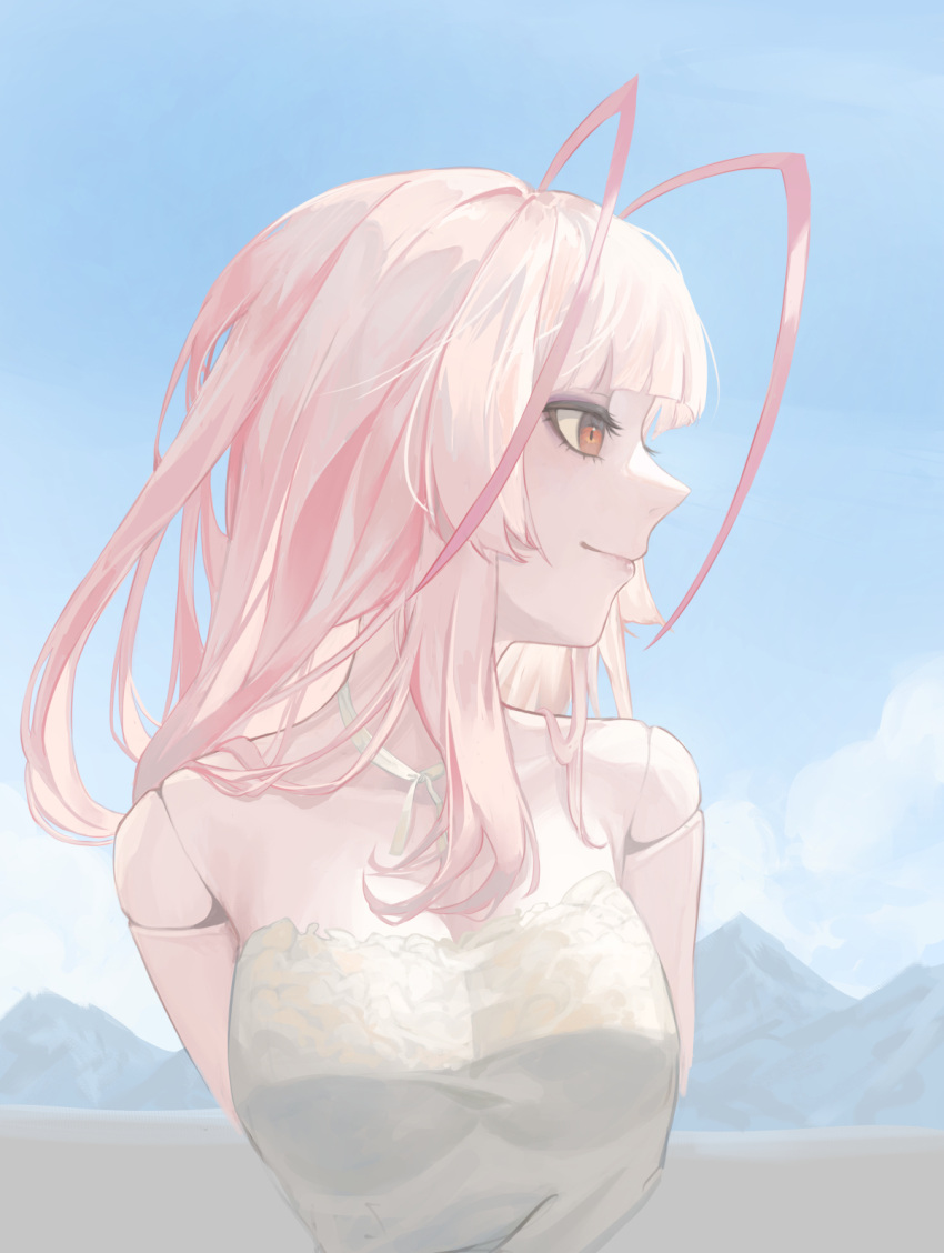 Safebooru - 1girl antenna hair arms behind back arthropod girl blue sky cockroach girl highres ...