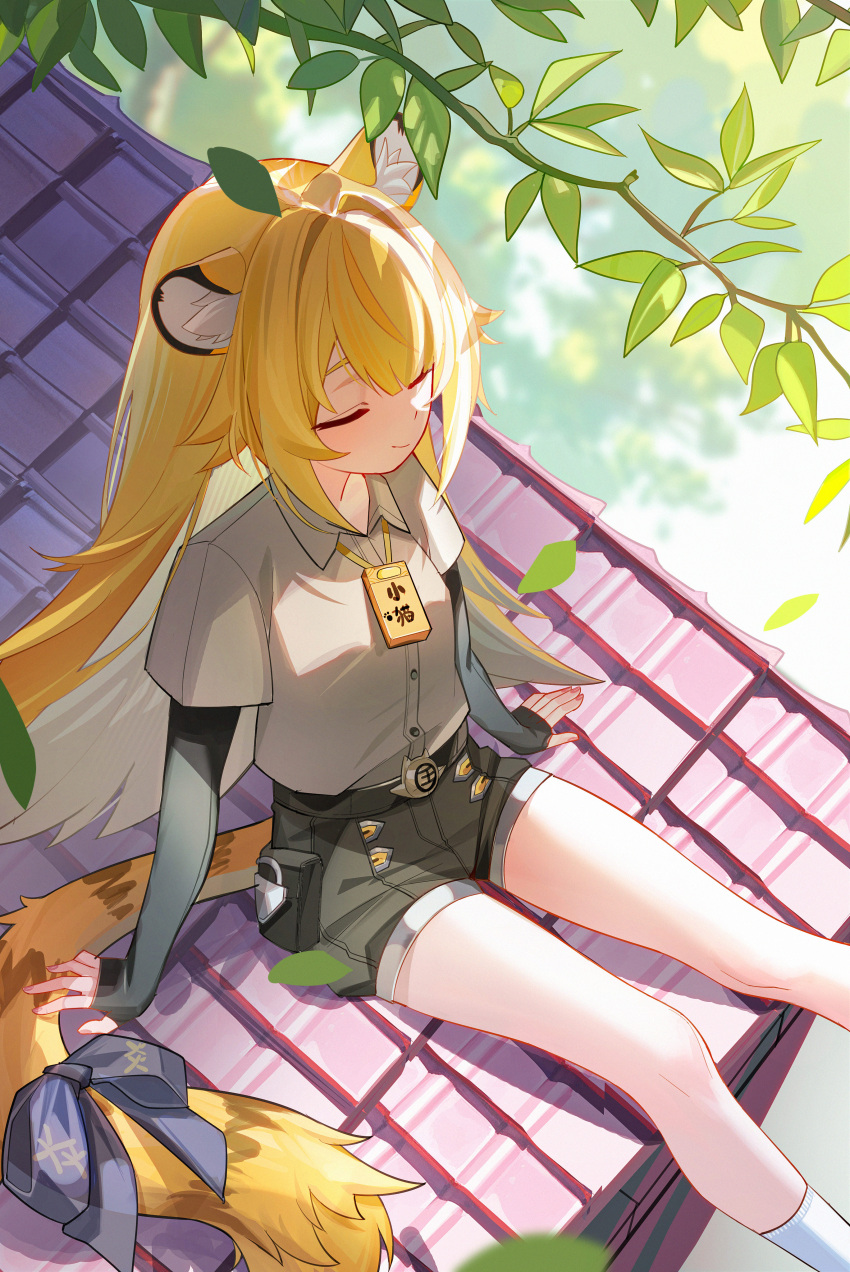 Safebooru - 1girl absurdres animal ear fluff animal ears black bow black gloves black shorts ...