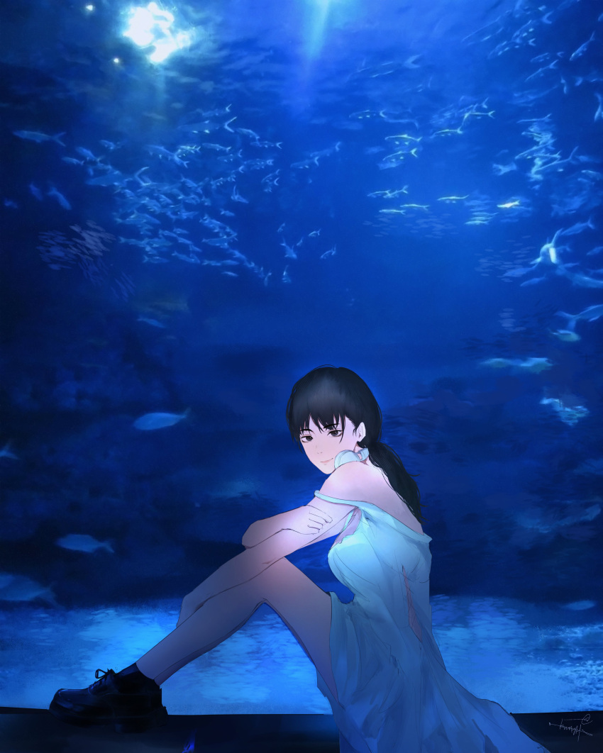 Safebooru - 1girl absurdres aquarium black eyes black footwear black hair blue background ...