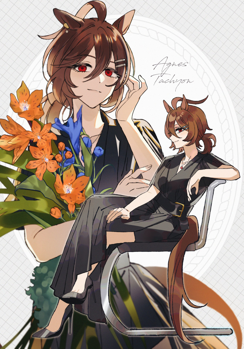 Safebooru - 1girl absurdres agnes tachyon (umamusume) animal ears belt ...