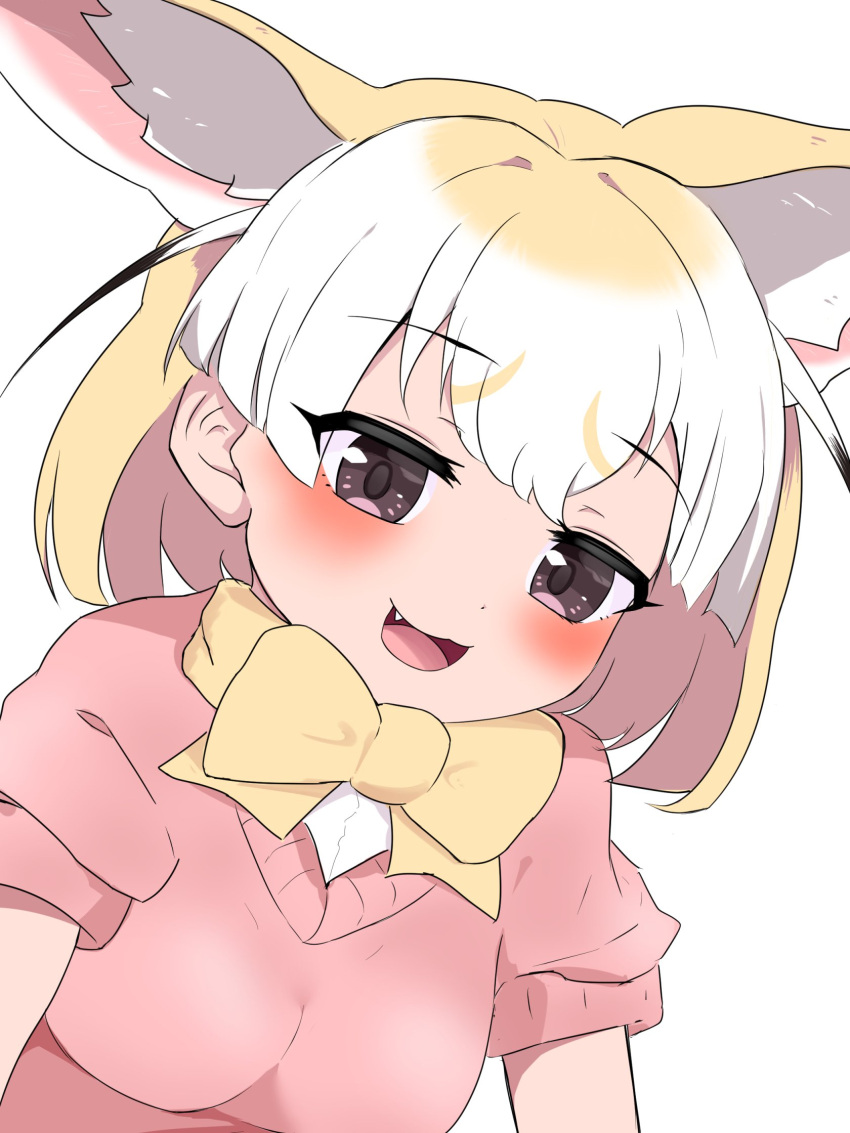 Safebooru - 1girl :3 animal ears blonde hair blush bow bowtie brown eyes extra ears fang fennec ...