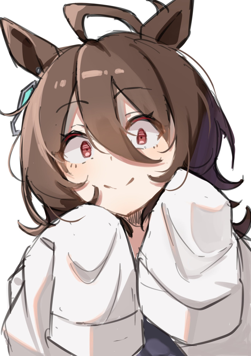 Safebooru - 1girl agnes tachyon (umamusume) ahoge animal ears brown ...