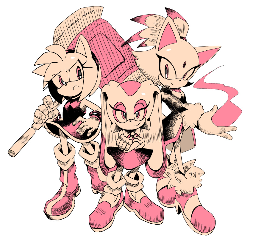Safebooru - 3girls absurdres amy rose animal ears blaze the cat cat girl commentary request ...