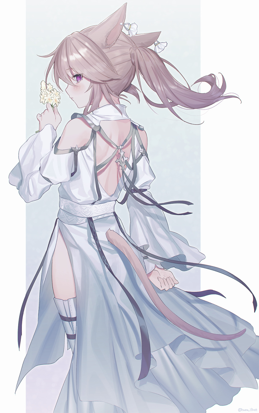 Safebooru - 1girl animal ears backless dress backless outfit bare shoulders brown hair cat ears ...