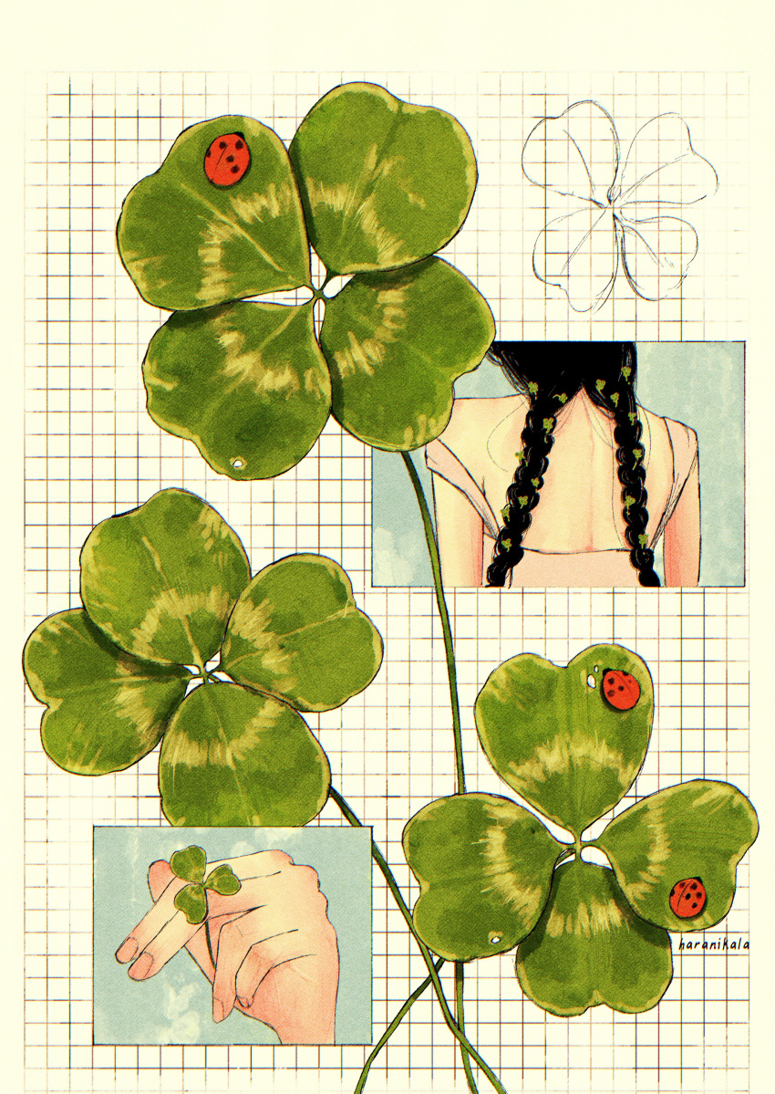 Safebooru - 1girl absurdres artist name braid bug clover collage four ...