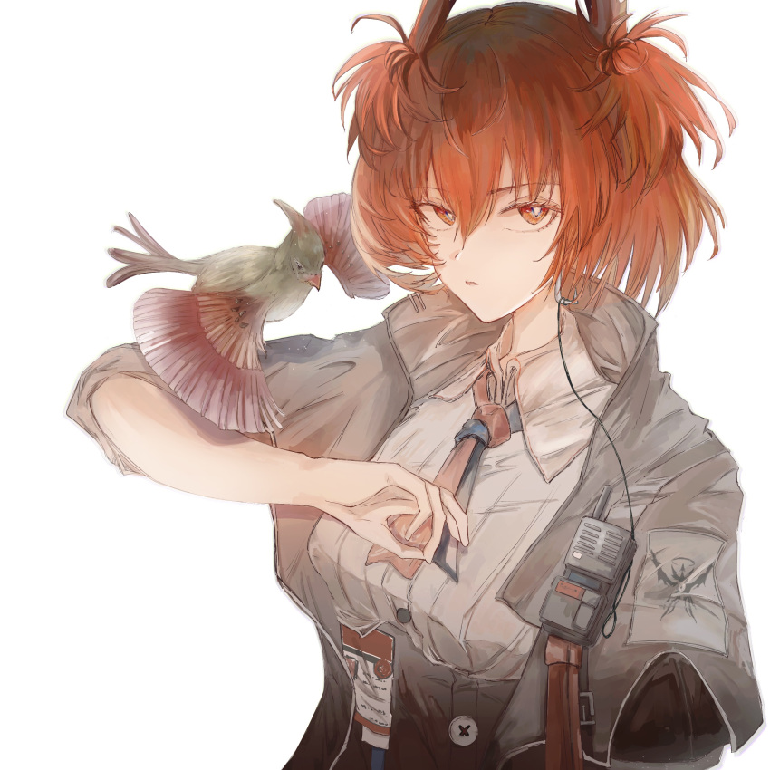 Safebooru - 1girl animal ears animal on arm arknights bird bird ears ...