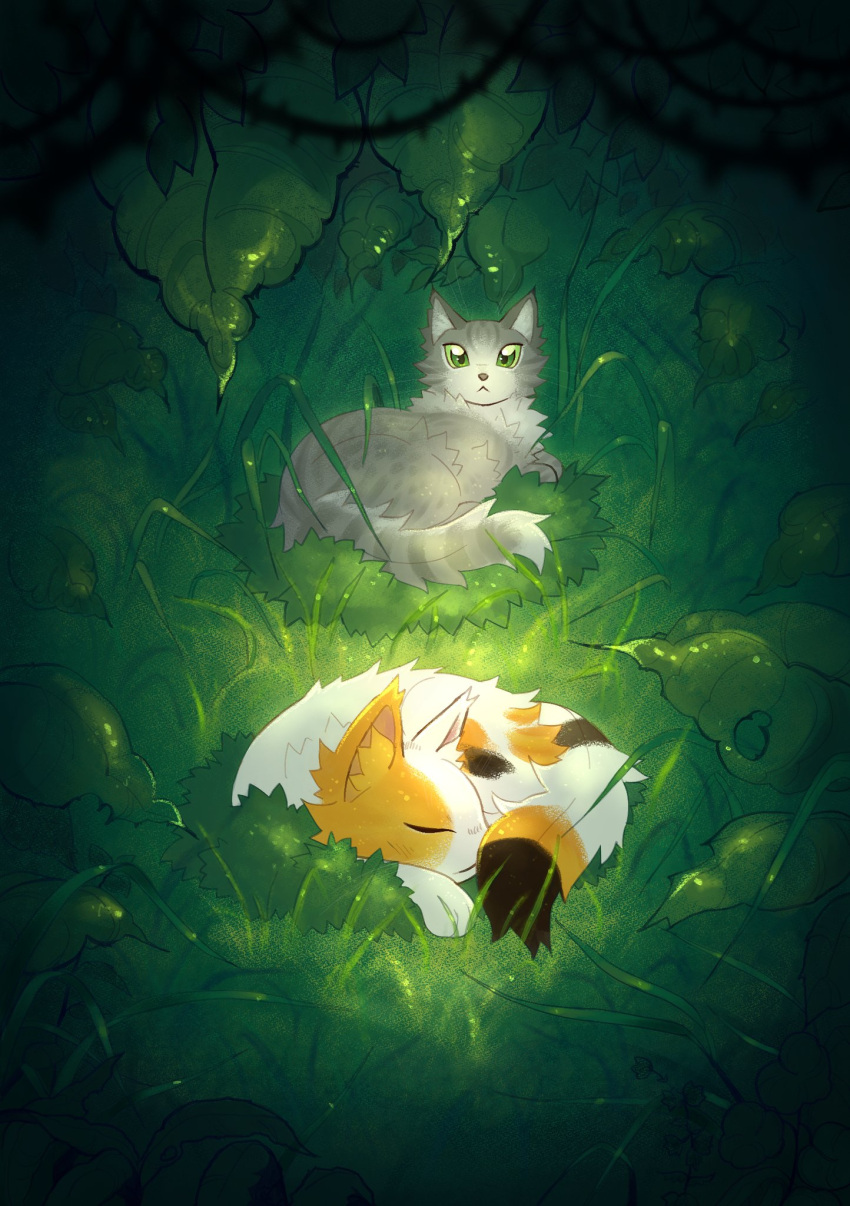 Safebooru - animal animal focus calico cat closed eyes commentary ...