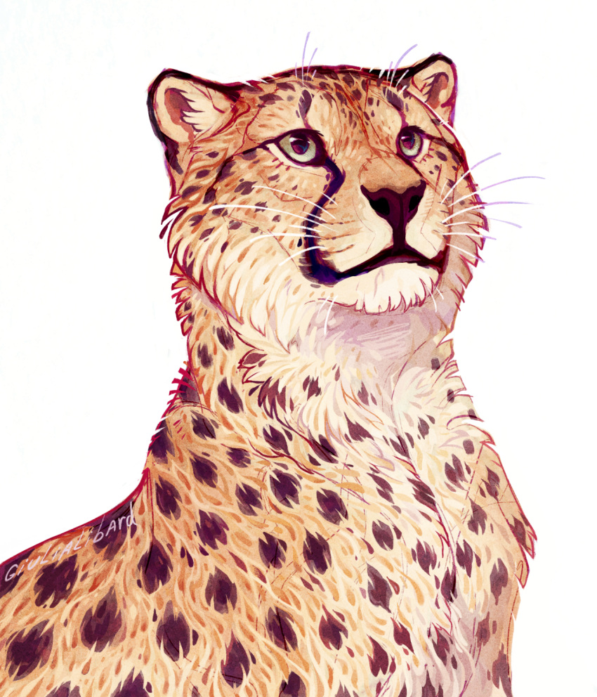 Safebooru - animal animal focus artist name cheetah giulialibard green ...