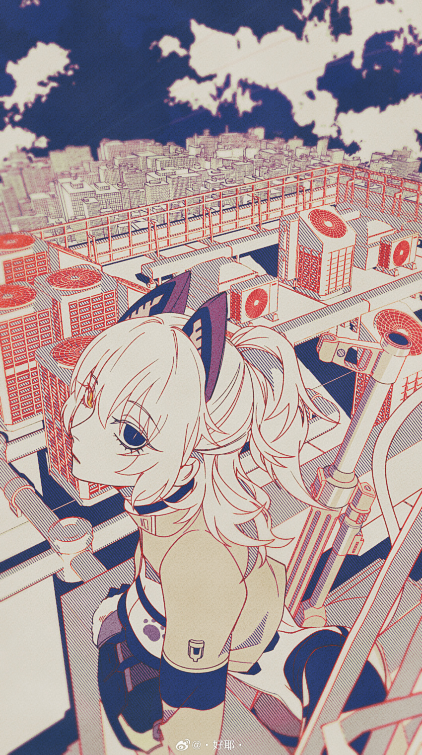 Safebooru - 1girl absurdres animal ears blue eyes cat ears girls ...