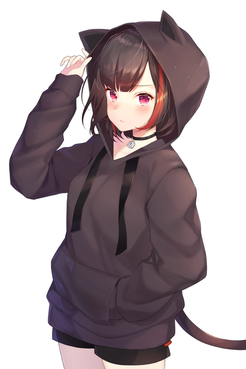 Safebooru - 1girl absurdres animal ears animal hood bang dream! bangs black choker black hair ...