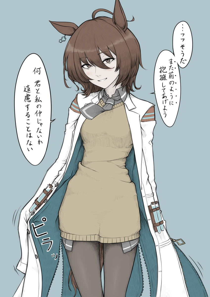 Safebooru - 1girl absurdres agnes tachyon (umamusume) ahoge animal ears brown eyes brown hair ...