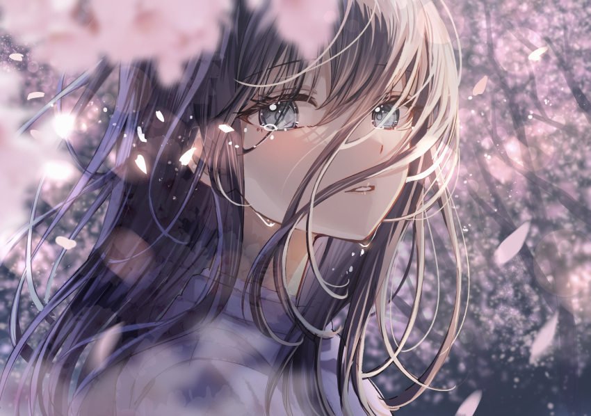 Safebooru 1girl Blurry Cherry Blossoms Close Up Commentary Request 2353
