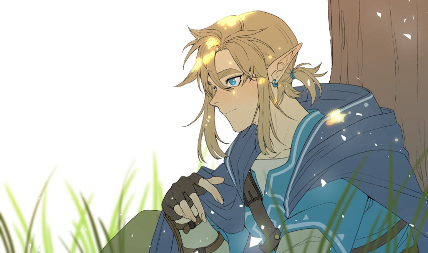 Safebooru - 1boy blonde hair blue eyes brown gloves cape champion's tunic (zelda) closed mouth ...