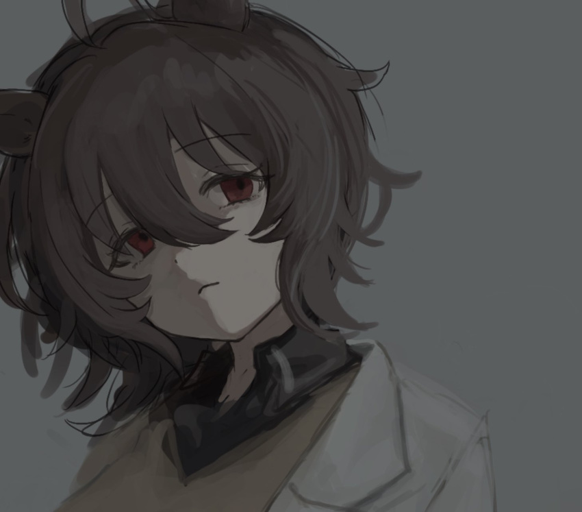 Safebooru - 1girl agnes tachyon (umamusume) ahoge animal ears brown hair closed mouth coat ...