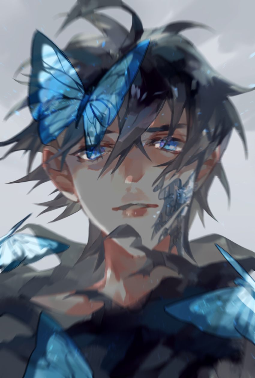 Safebooru - 1boy black hair black shirt blue butterfly blue eyes bug butterfly grey background ...