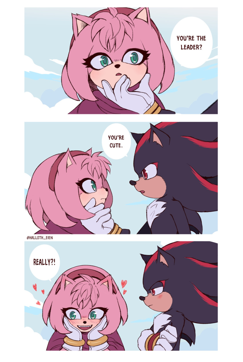 Safebooru - 1boy 1girl amy rose animal ears black fur blush coat english text eyelashes furry ...