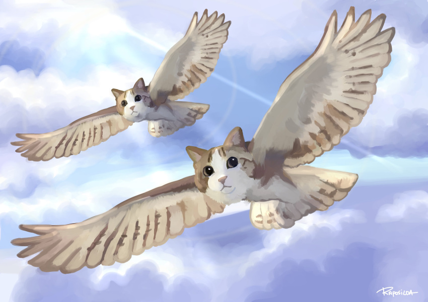 Safebooru - animal animal focus artist name bird cat clouds cloudy sky ...
