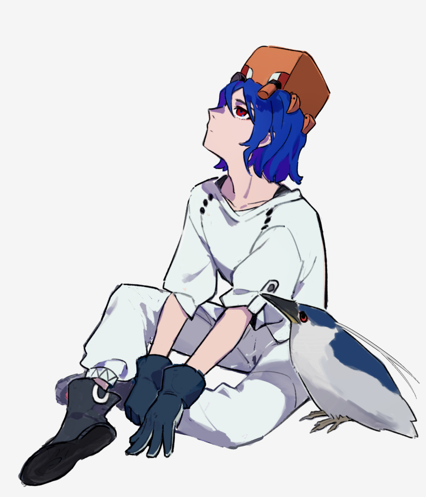 Safebooru - 1boy bird blue hair chenchenchen598 chinese commentary ...