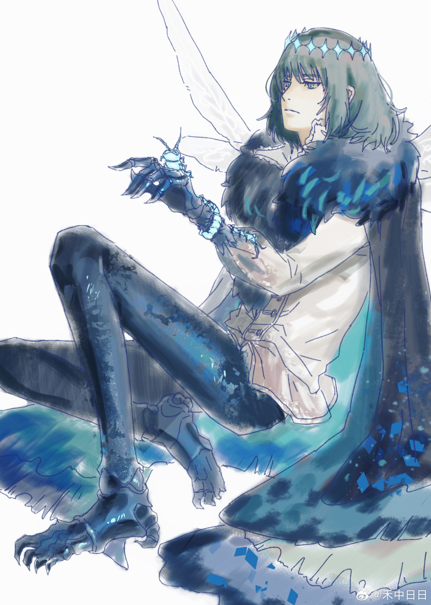 Safebooru - 1boy absurdres artist name black hair blue eyes bug ...
