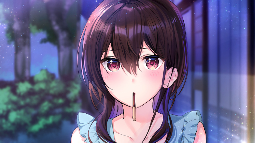 Safebooru - 1girl blue sky blurry blurry background blush brown hair building bush collarbone ...