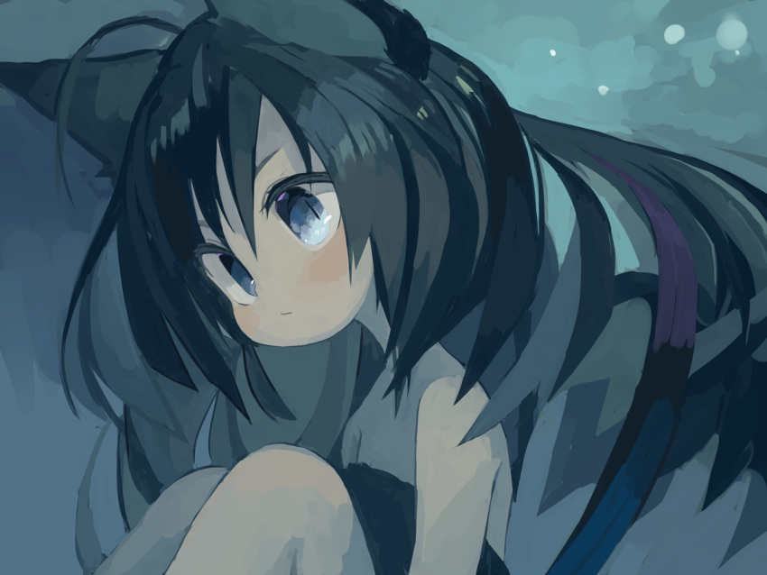 Safebooru - 1girl ahoge animal ears bangs bare shoulders black hair blue eyes blush closed mouth ...