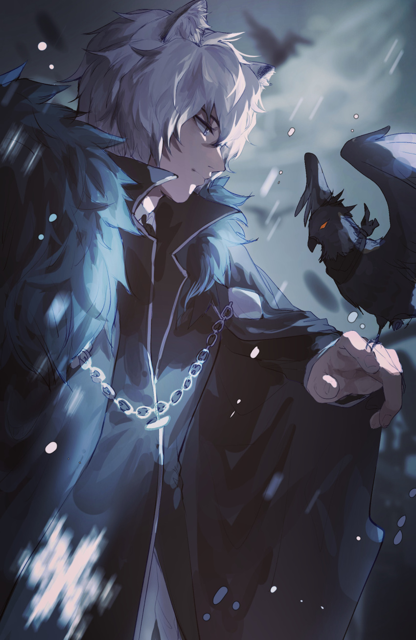 Safebooru - 1boy animal ear fluff animal ears arknights bird bird on ...