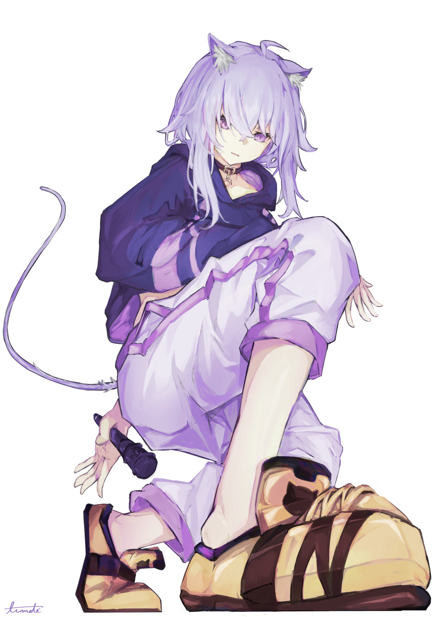 Safebooru - 1girl absurdres ahoge animal ear fluff animal ears bangs black collar black hoodie ...