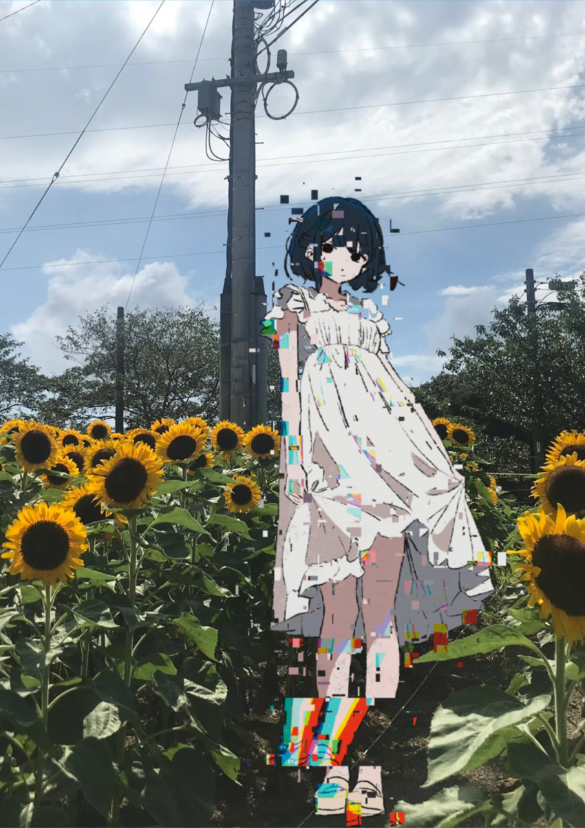 Safebooru - 1girl black eyes black hair blue sky closed mouth clouds day dot mouth dress flower ...