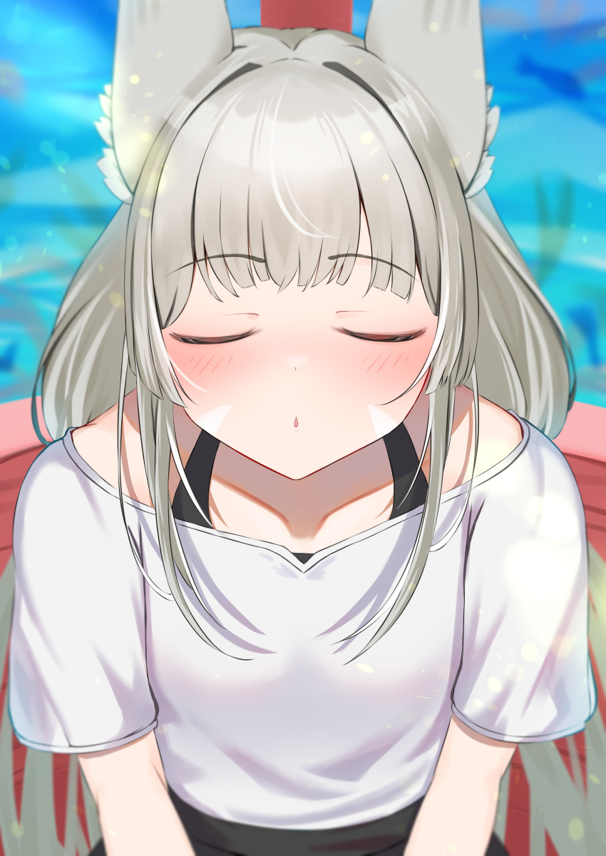 Safebooru - 1girl :o absurdres animal ear fluff animal ears blurry blurry background blush cat ...