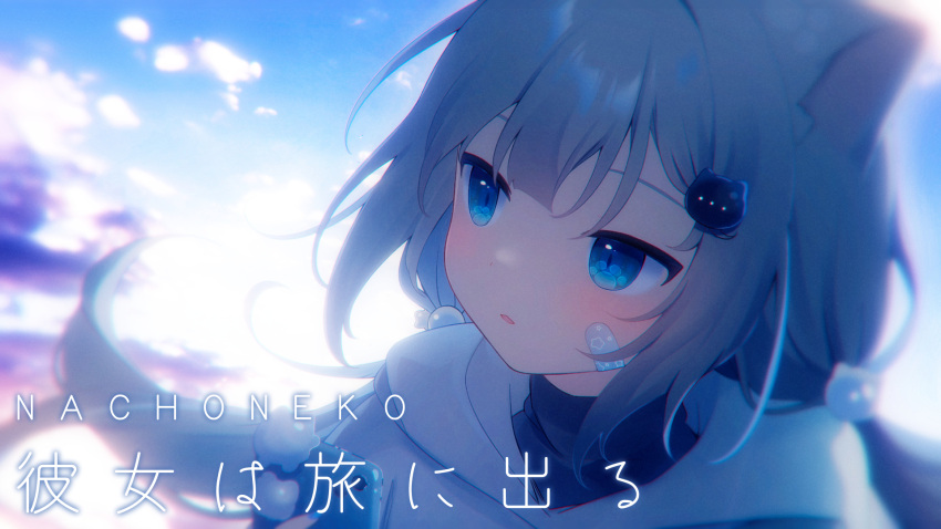 Safebooru - 1girl amashiro natsuki animal ear fluff animal ears bandaid bandaid on cheek bandaid ...