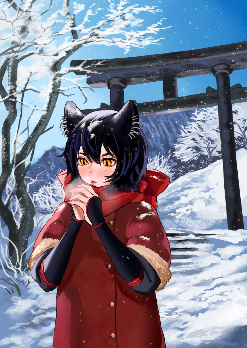 Safebooru - 1girl absurdres animal ears black hair blush cat ears coat dungeon meshi elfe ...
