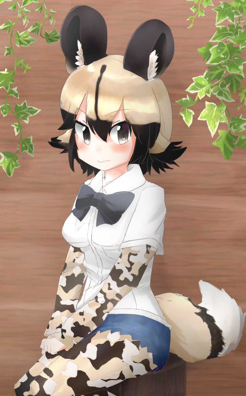 Safebooru - 1girl absurdres african wild dog (kemono friends) african wild dog print animal ears ...