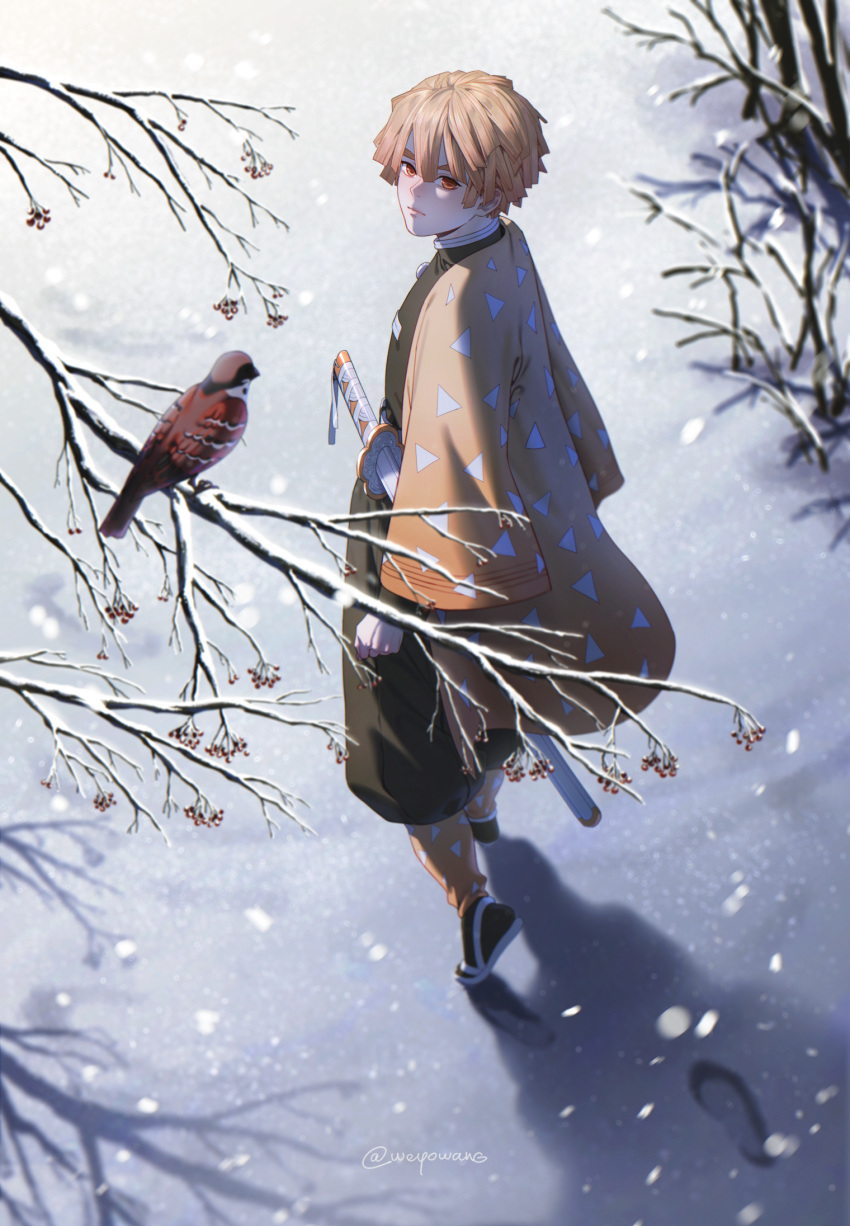 Safebooru - 1boy agatsuma zenitsu bird blonde hair chuntarou (kimetsu ...