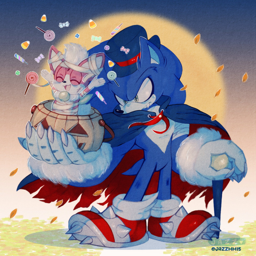 Safebooru - 2boys bandages blue fur candy cape chip (sonic) fang food ...