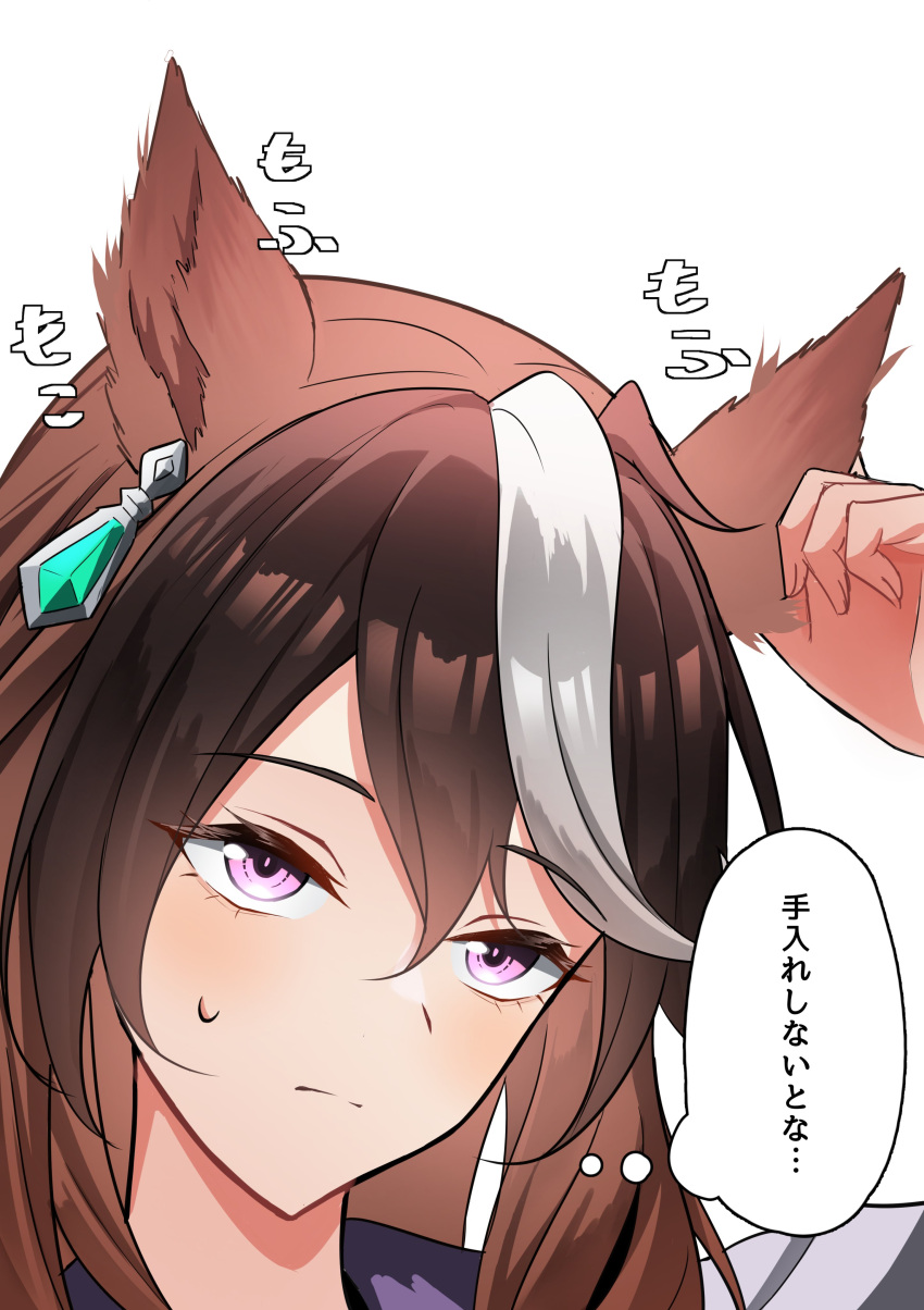 Safebooru - 1girl absurdres animal ears brown hair close-up commentary ...