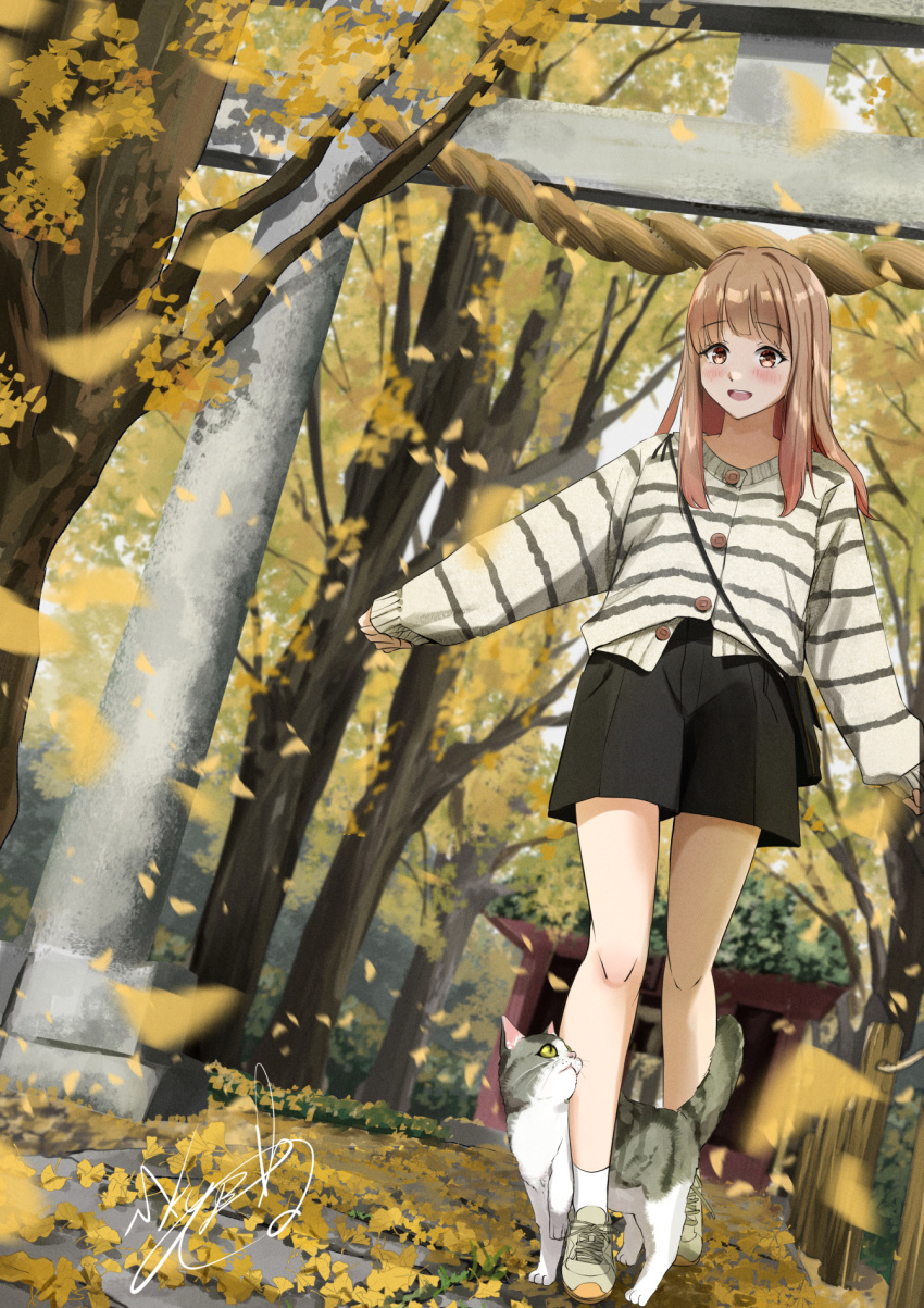Safebooru - 1girl autumn leaves black shorts blush brown eyes brown hair cat full body ginkgo ...