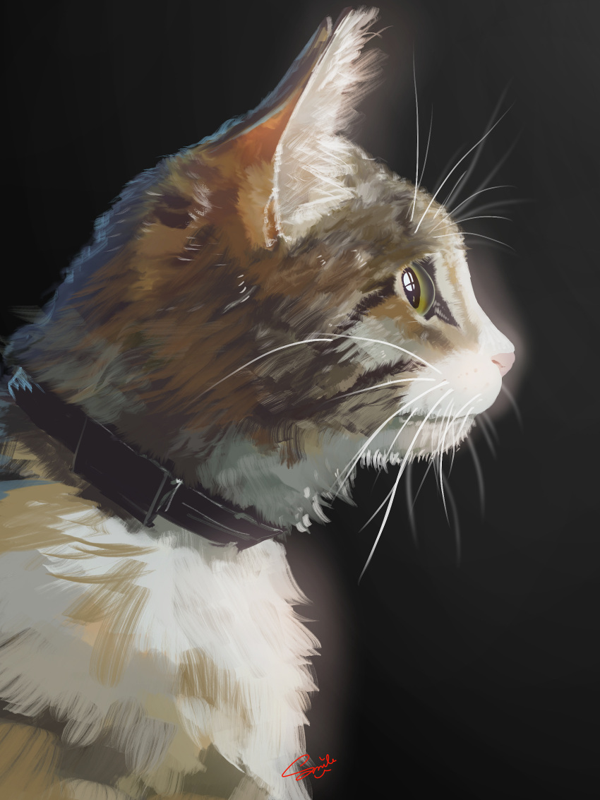 Safebooru - absurdres animal animal collar animal focus artist name black background cat collar ...