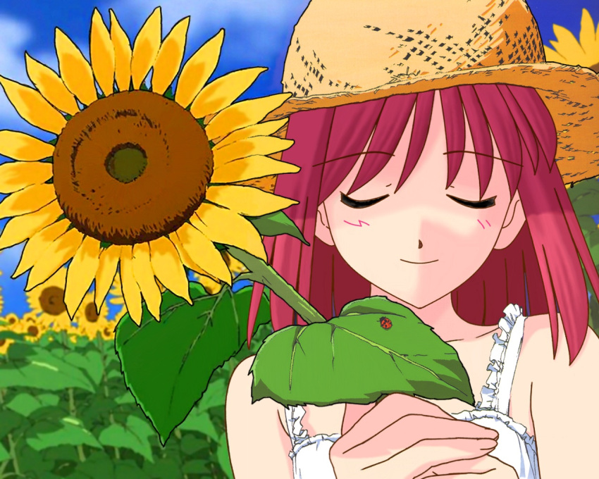 Safebooru - flower hisui kohaku shingetsutan tsukihime sunflower ...