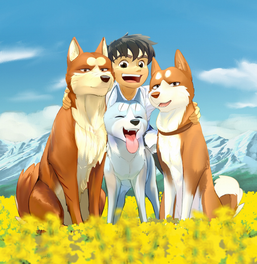 Safebooru - 1boy :d akita inu black hair collar commentary request dog flower fuji (ginga ...