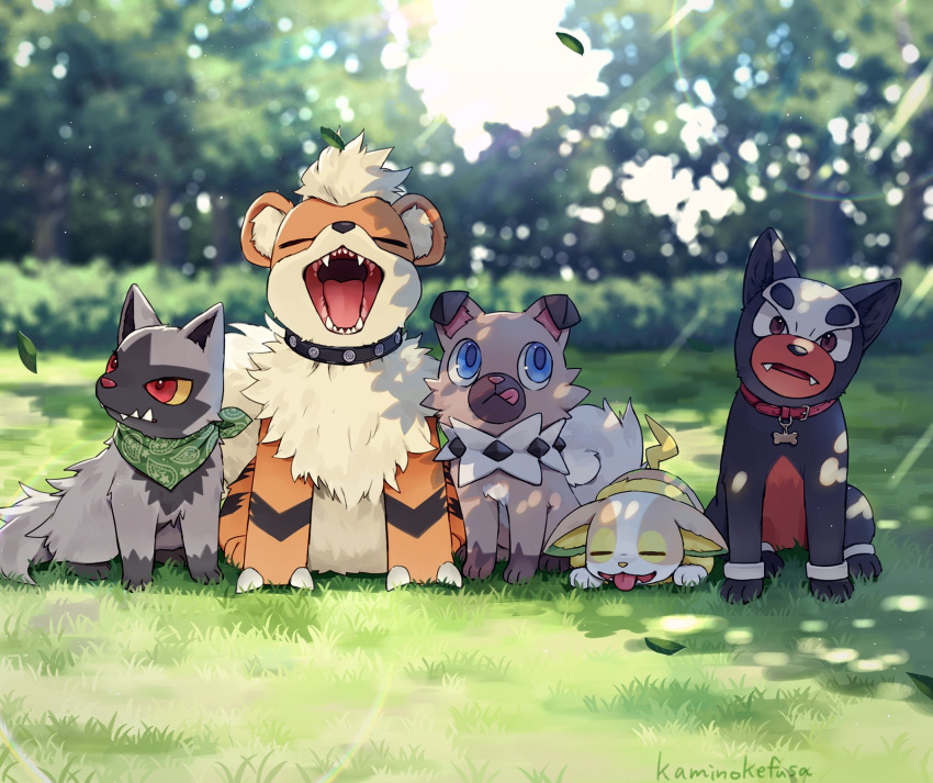 Safebooru - :q animal collar animal focus black fur blue eyes blurry ...