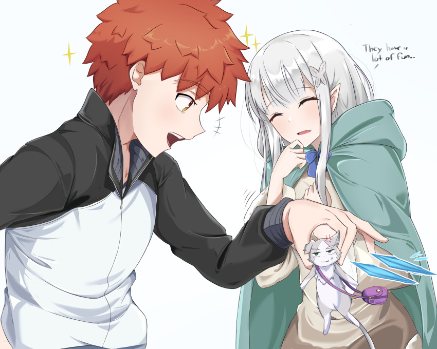 Safebooru - absurdres ahoge braid butterfly-shaped pupils capelet cat crown braid drill hair ...