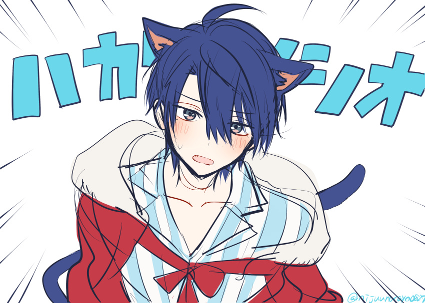 Safebooru - 1boy absurdres ahoge animal ear fluff animal ears blue hair blush cat boy cat ears ...