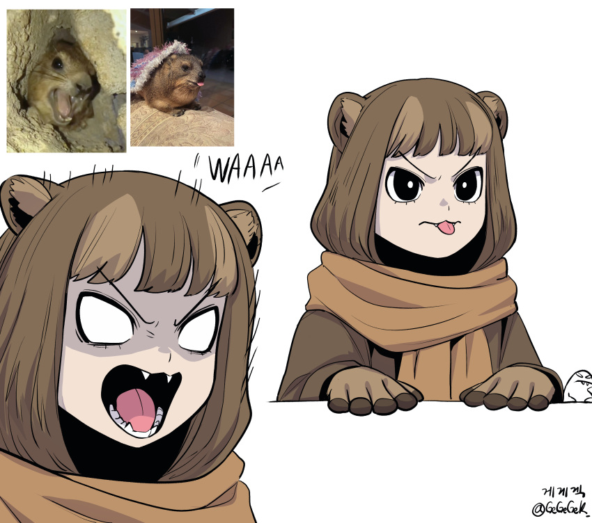 Safebooru - 1girl :3 absurdres angry animal ear fluff animal ears brown hair creature and ...