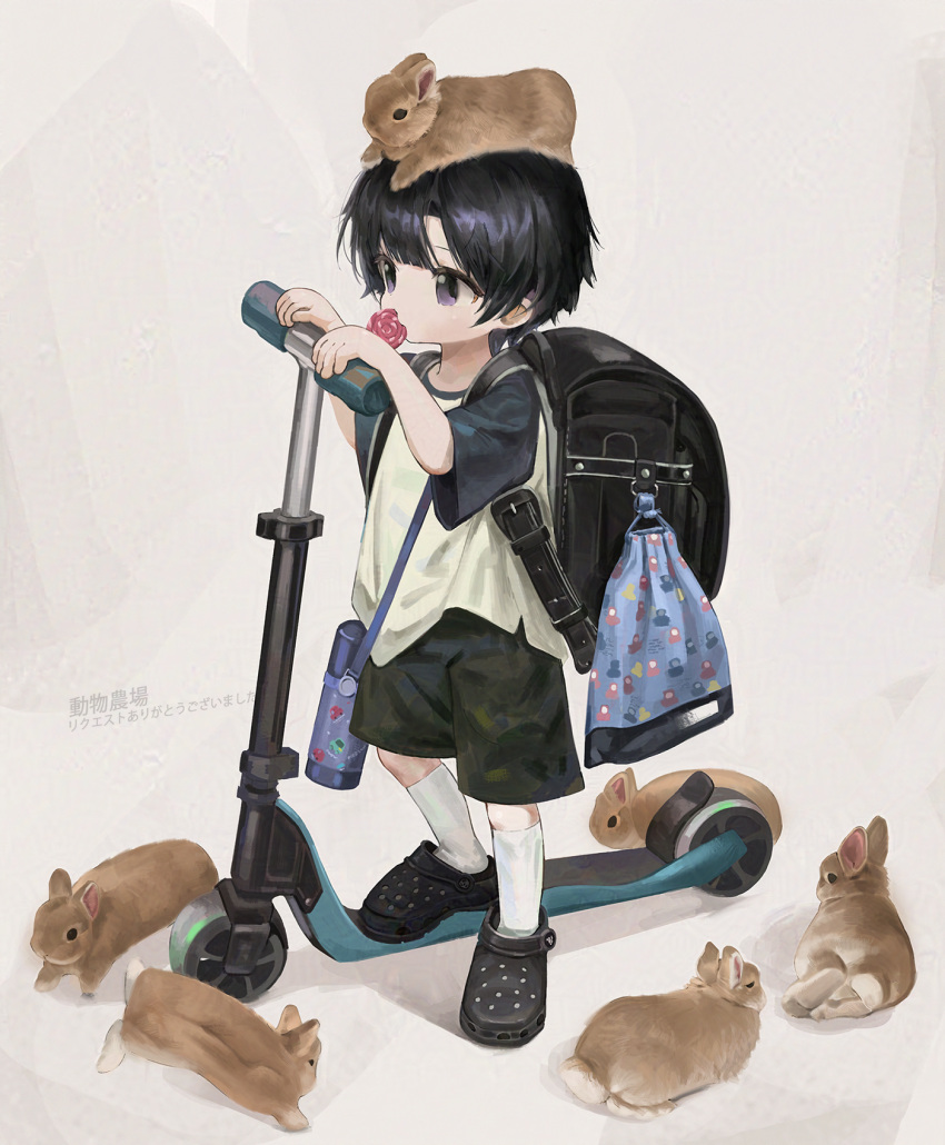 Safebooru - 1boy animal on head backpack bag black bag black footwear black hair black shorts ...