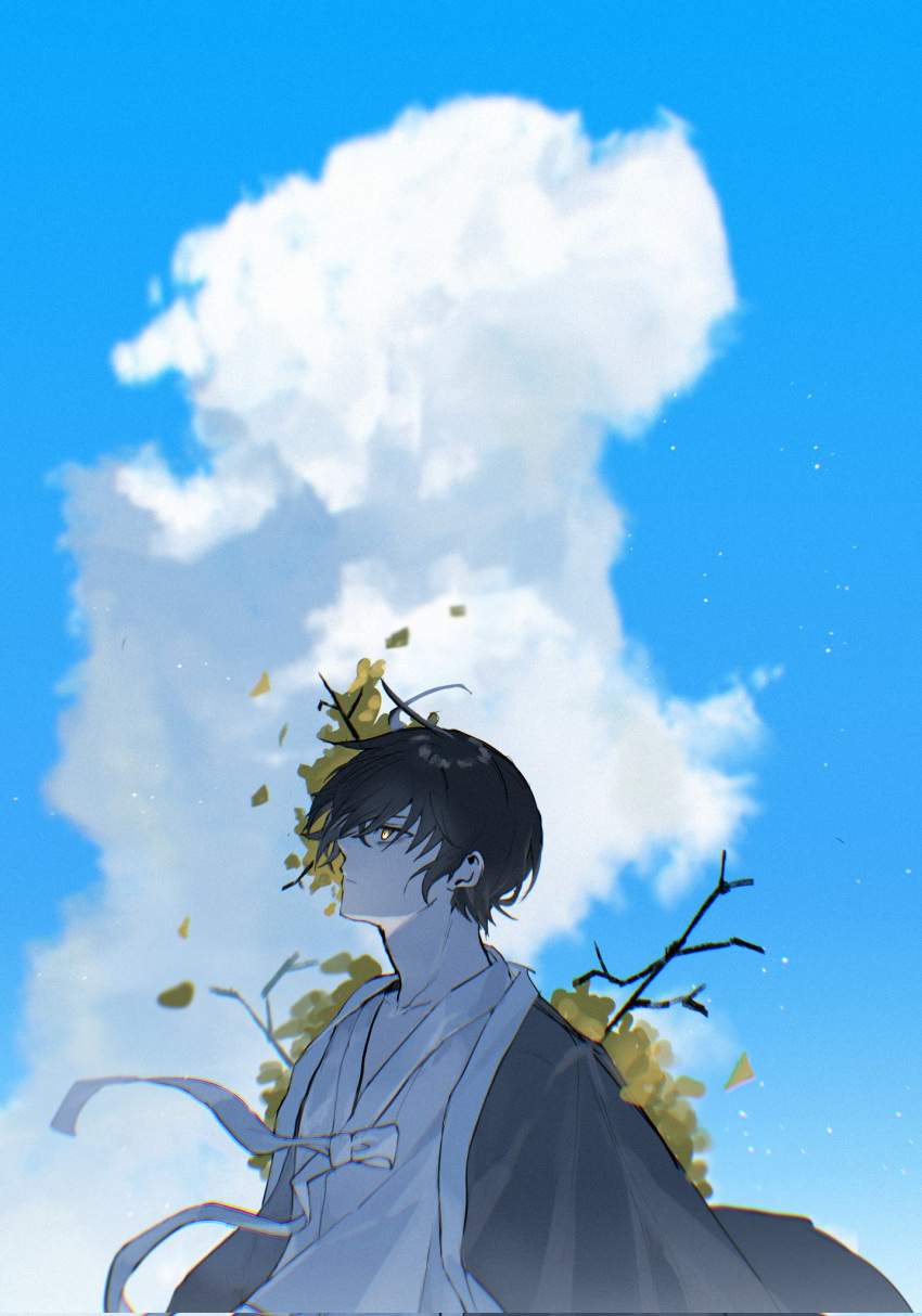 Safebooru - 1boy :| black hair blue sky closed mouth clouds cloudy sky e.g.o (project moon) from ...