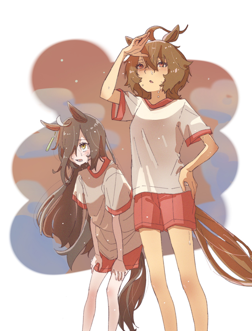 Safebooru - 2girls absurdres agnes tachyon (umamusume) ahoge animal ears black hair breasts ...