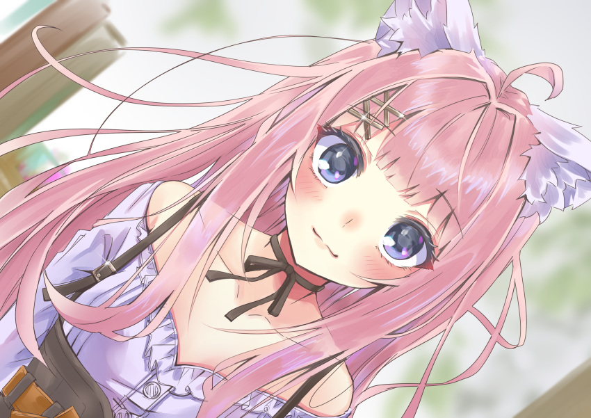 Safebooru - 1girl absurdres ahoge animal ear fluff animal ears bare shoulders black ribbon blue ...