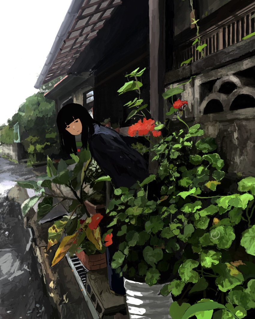 Safebooru - 1girl after rain black eyes black hair building closed mouth etpanw flower from side ...