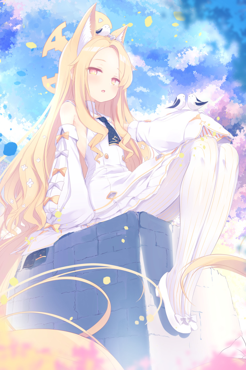 Safebooru - 1girl animal ears bird blonde hair blue archive blue sky blush commentary request ...