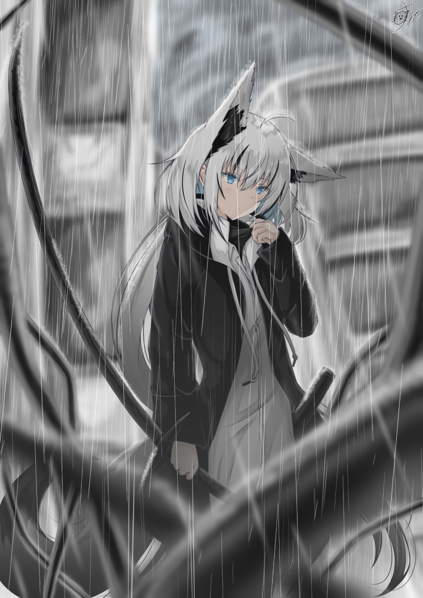 Safebooru - 1girl ahoge animal ears black jacket blue eyes extra ears ...